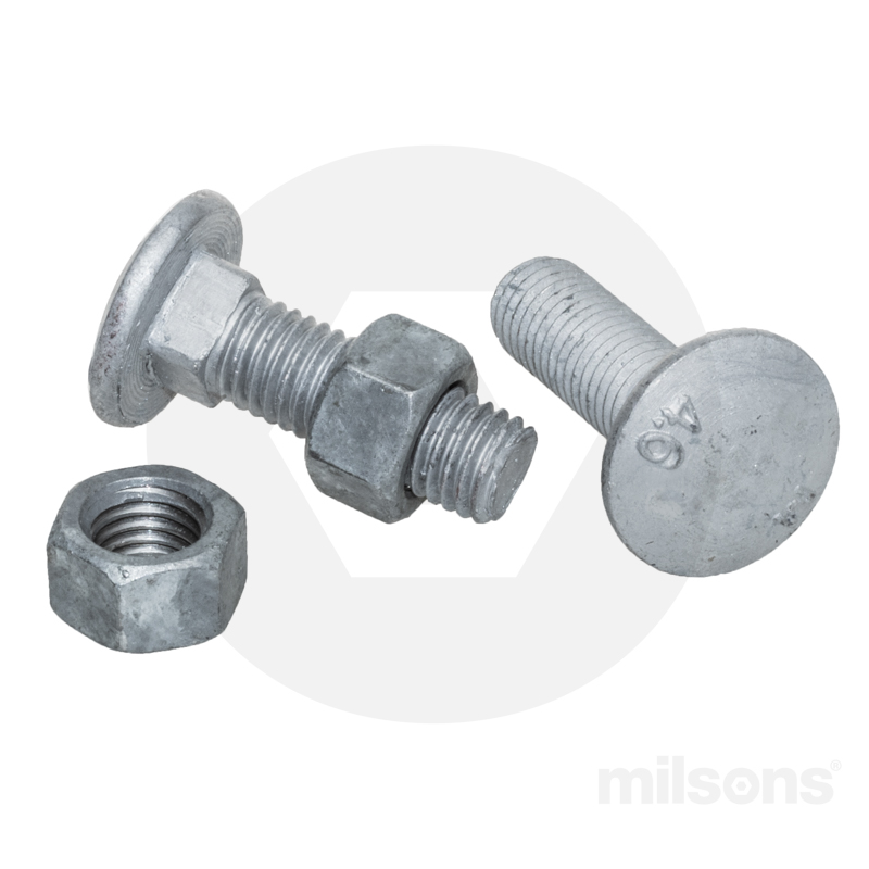 COACH BOLT/NUT MILD STEEL M10x30 GALV | Milsons
