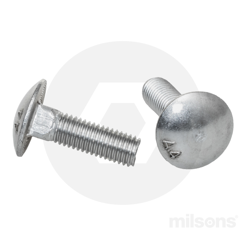 COACH BOLT ONLY SS316 M10X110 | Milsons