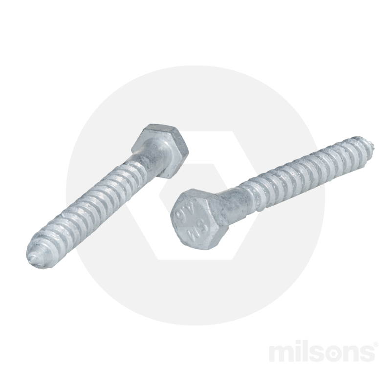 COACH SCREW M12x350 GALV | Milsons
