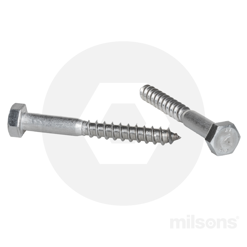 COACH SCREW SS316 M16x80 | Milsons