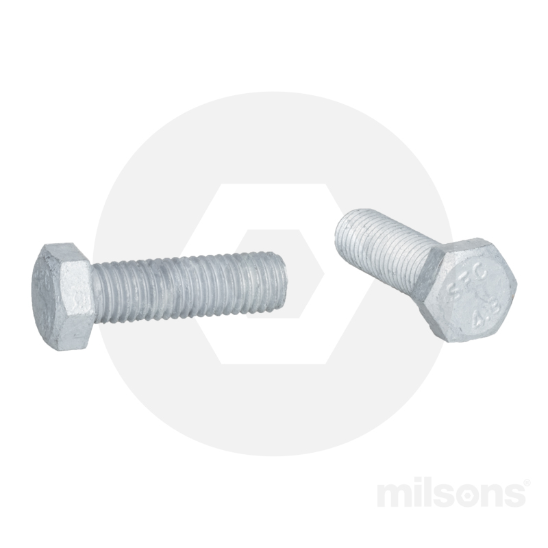 SET SCREW MILD STEEL M20x50 GALV | Milsons